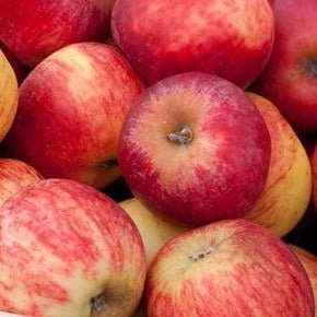 Gala Royal Apple 500g